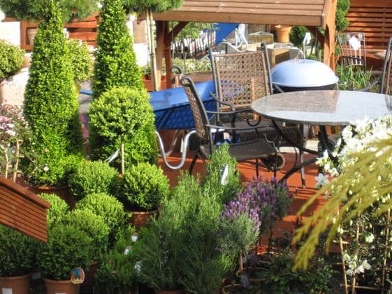 Dundee Florist - Same Day Flower Delivery & Arrangements